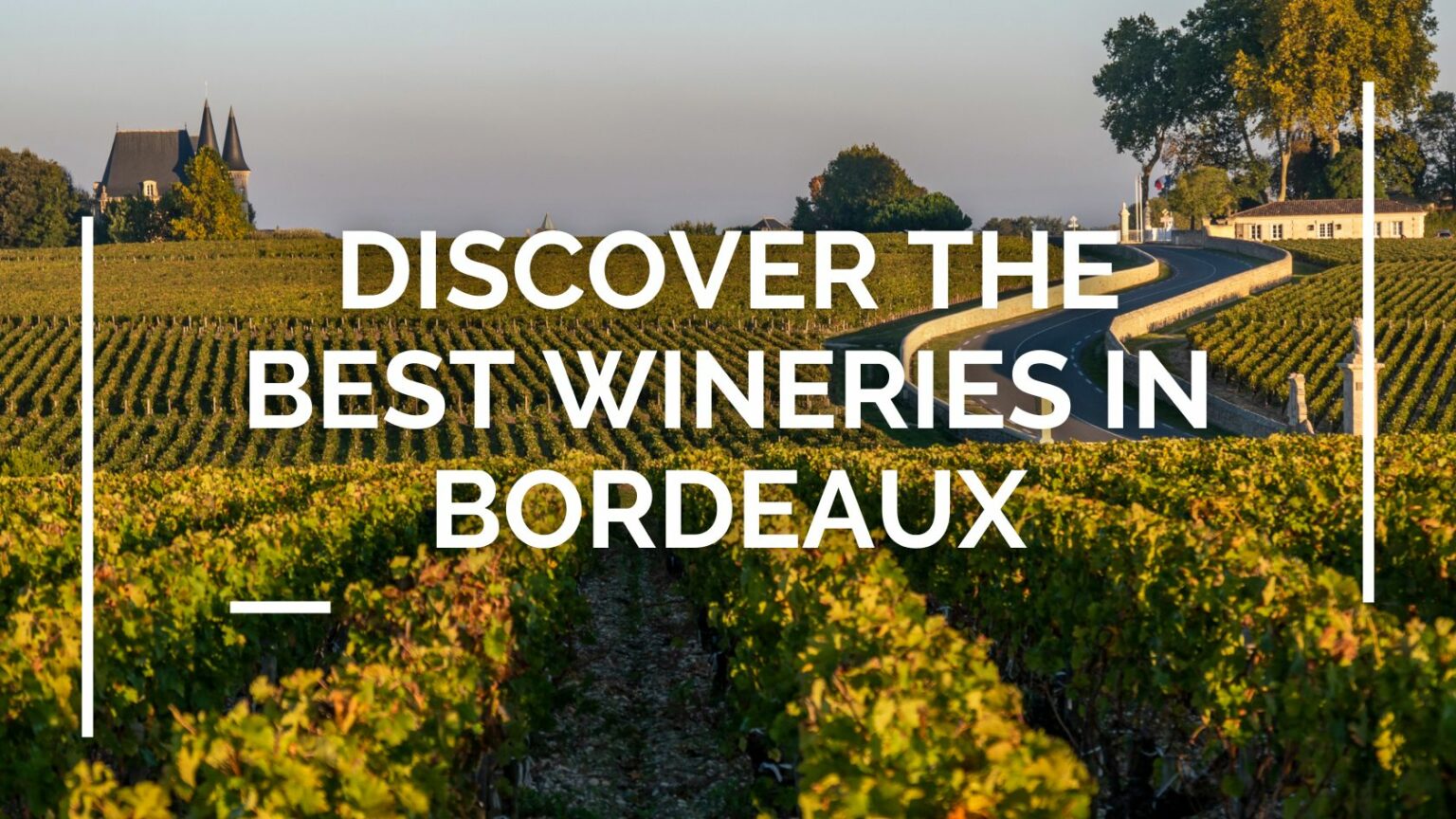 Discover the Best Wineries in Bordeaux to visit